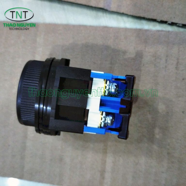 Nút Nhấn AR30F0R FUJI - Thao Nguyen TTC